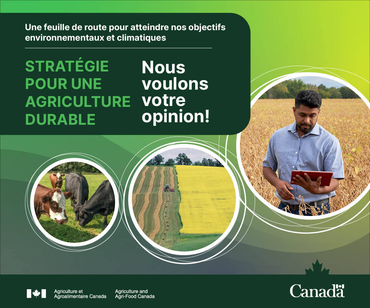 Stratégie pour une agriculture durable : le gouvernement lance une ...