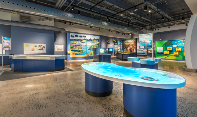 Discovery Centre Opens Ocean Gallery - Canada.ca