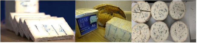 Artisan cheesemaker enticing connoisseurs to ‘Embrace the Blue’ - Canada.ca