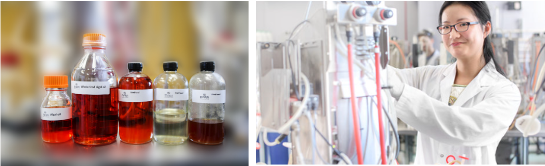 Mara cultivates smart idea for nutritional supplements - Canada.ca