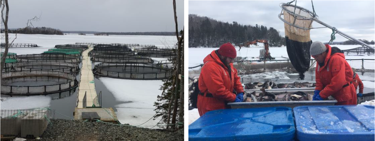 Une certification avancée accordée à la Première Nation de We’koqma’q ...