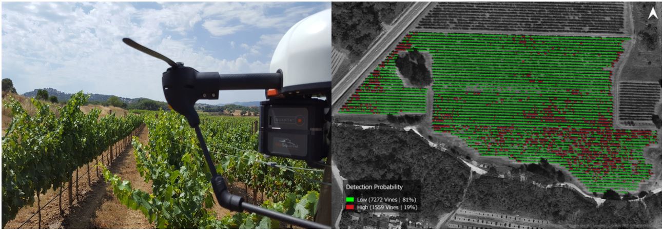 Growing International Markets for Vineyard Aerial Data Insights - Canada.ca