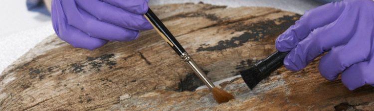 Canadian Conservation Institute - Canada.ca