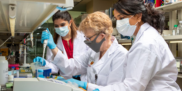 Government of Canada invests $5.7M in new research network to study ...