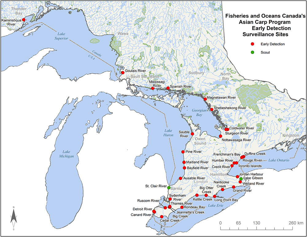Government of Canada opens 2019 Asian Carp Program field season to ...