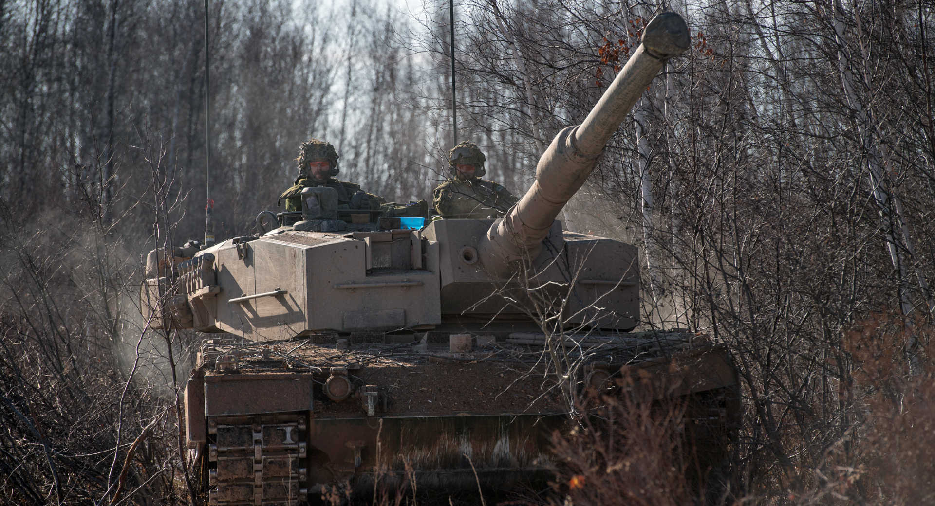 Into Their Second Century: An Illustrated History of the Royal Canadian ...