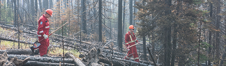 National Defence - Canada.ca