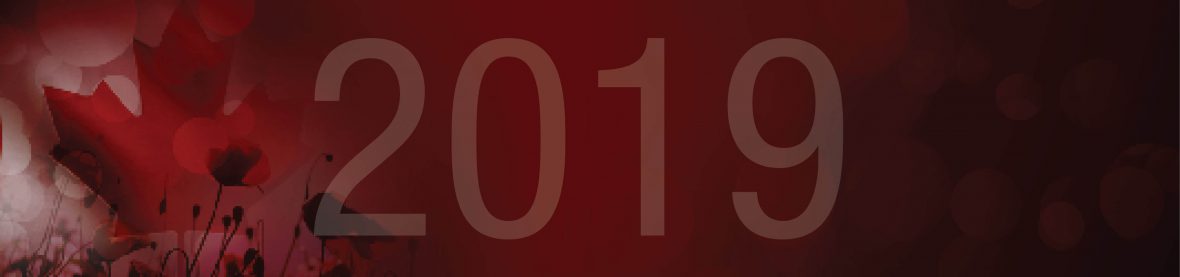 Remembrance Day Sentry Program participants honoured with ceremonial ...