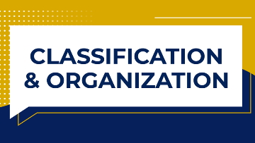 Video: Learn more about Standardized Job Descriptions! - Canada.ca