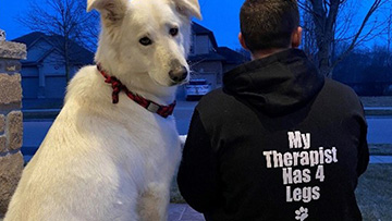 How workplaces can be made healthier with the addition of service ...