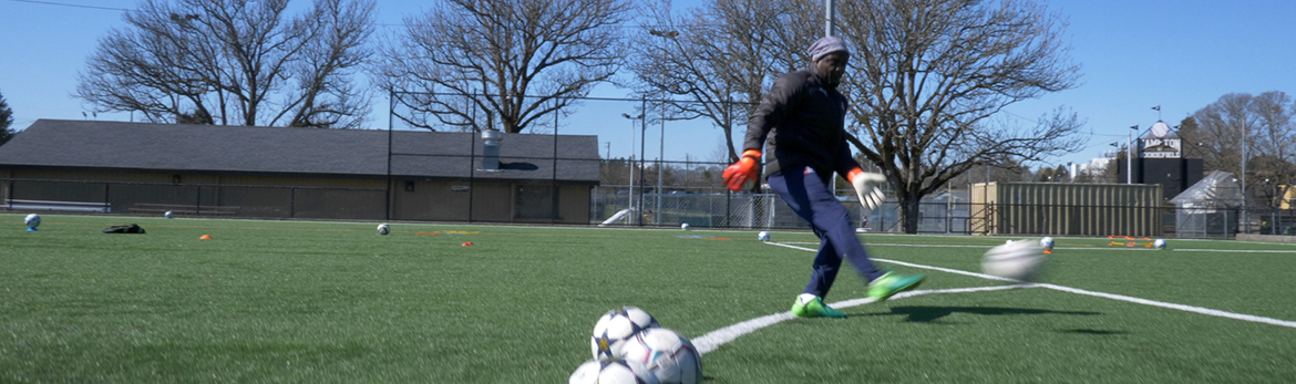 The Maple Leaf - Canada.ca