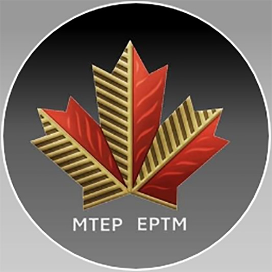 Military Transition Engagement & Partnerships (MTEP) - Canada.ca