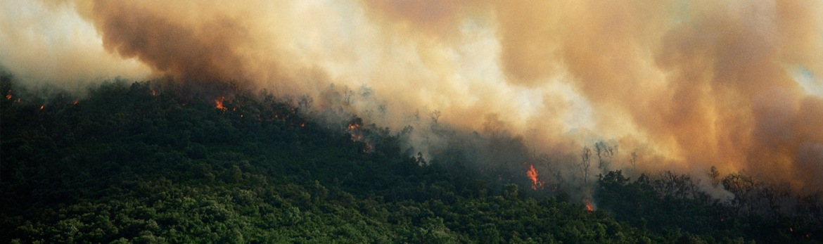 Environment and Climate Change Canada - Canada.ca