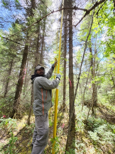 Genomic Adaptation and Resilience to Climate Change (GenARCC) - Canada.ca