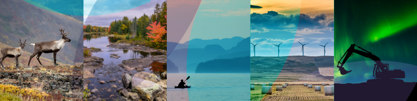 Cumulative Effects - Canada.ca