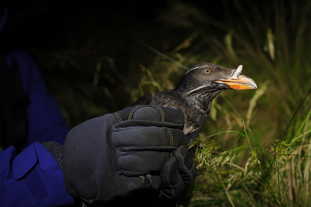 Enhancing emergency preparedness and response - Canada.ca