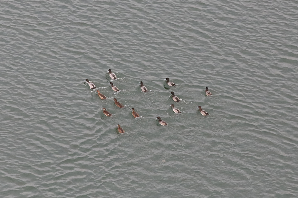 Enhancing emergency preparedness and response - Canada.ca