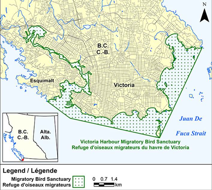 Victoria Harbour Migratory Bird Sanctuary - Canada.ca