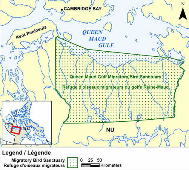 Queen Maud Gulf (Ahiak) Migratory Bird Sanctuary - Canada.ca