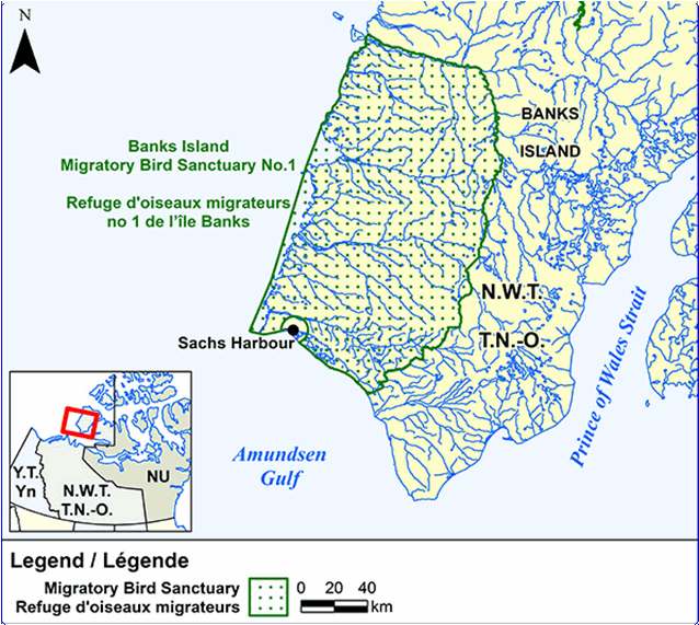 Banks Island Migratory Bird Sanctuary No. 1 - Canada.ca
