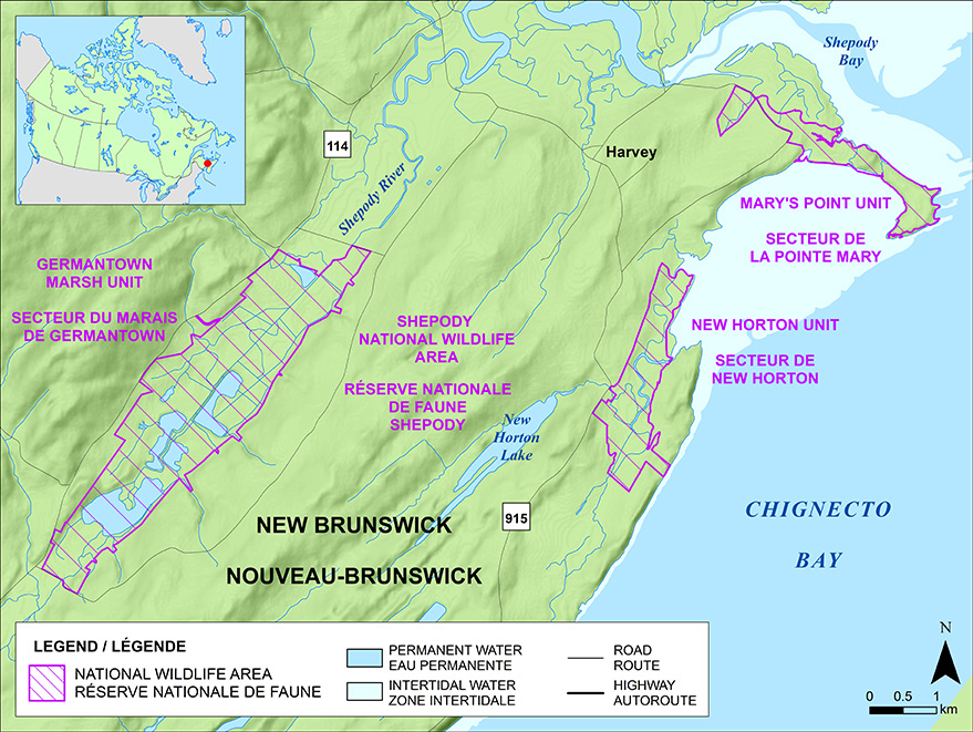 Shepody National Wildlife Area - Canada.ca