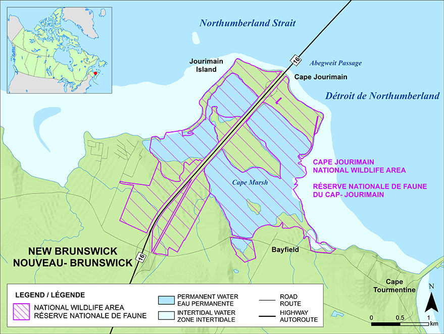 Cape Jourimain National Wildlife Area - Canada.ca