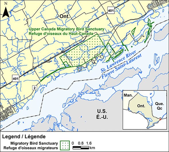 Upper Canada Migratory Bird Sanctuary - Canada.ca