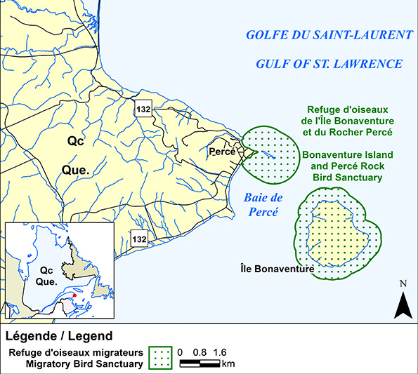 Bonaventure Island and Percé Rock Migratory Bird Sanctuary - Canada.ca