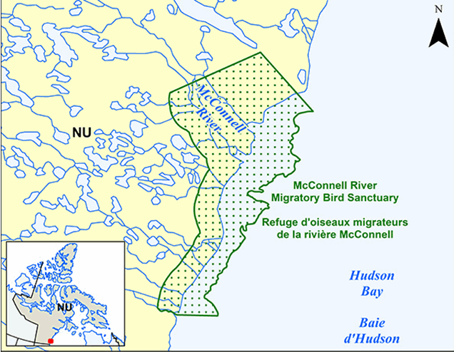 McConnell River (Kuugaarjuk) Migratory Bird Sanctuary - Canada.ca