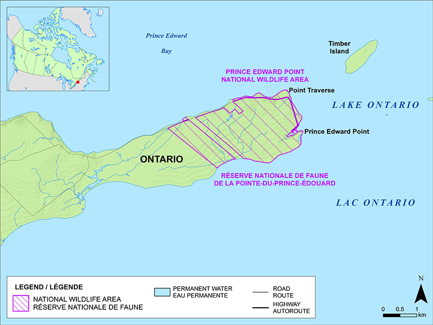 Prince Edward Point National Wildlife Area - Canada.ca