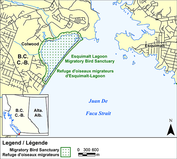 Esquimalt Lagoon Migratory Bird Sanctuary - Canada.ca