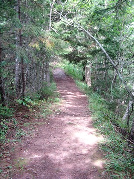Amherst Point Migratory Bird Sanctuary - Canada.ca