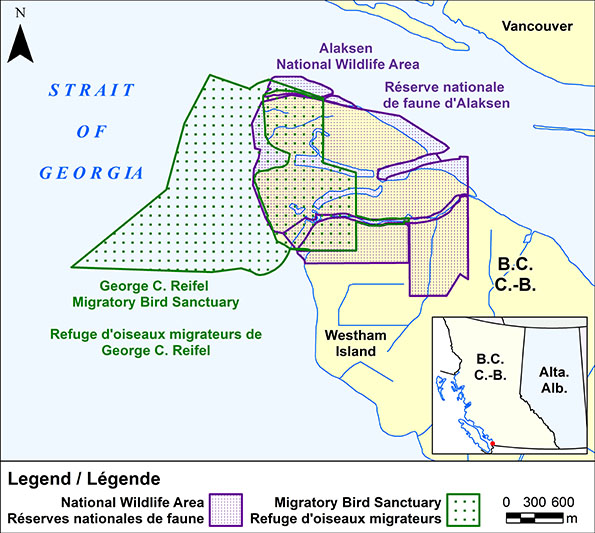 George C. Reifel Migratory Bird Sanctuary - Canada.ca