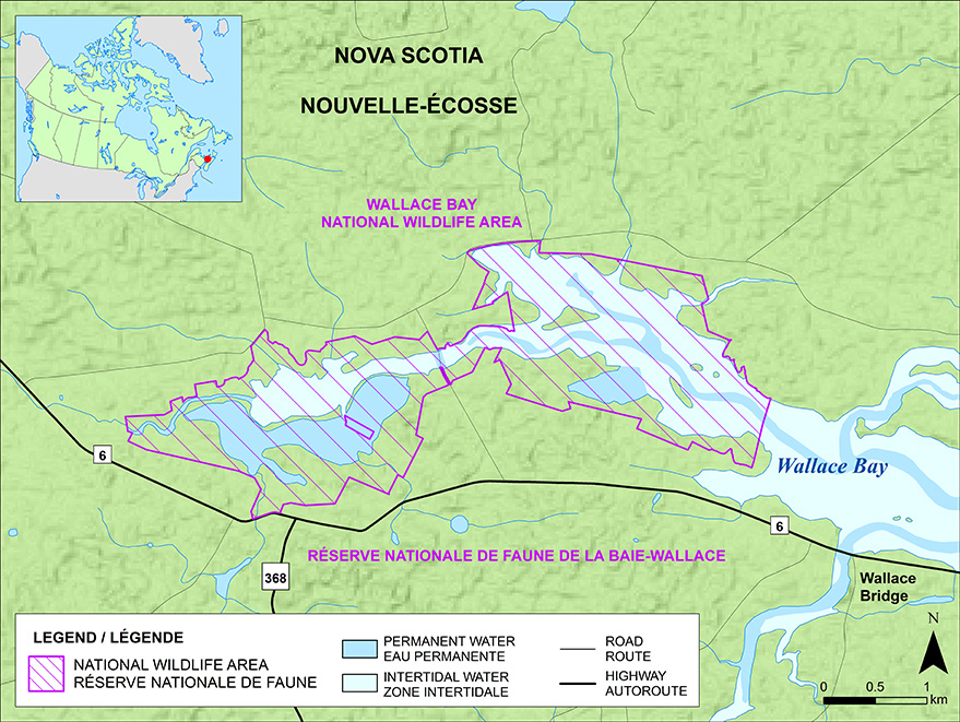Wallace Bay National Wildlife Area - Canada.ca