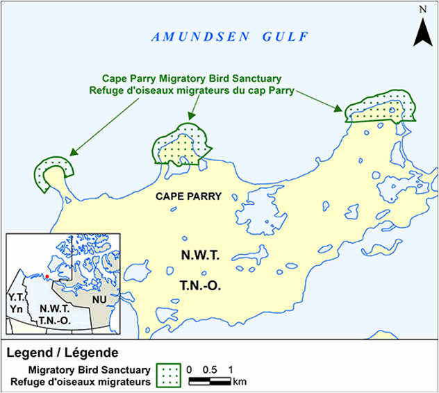 Cape Parry Migratory Bird Sanctuary - Canada.ca