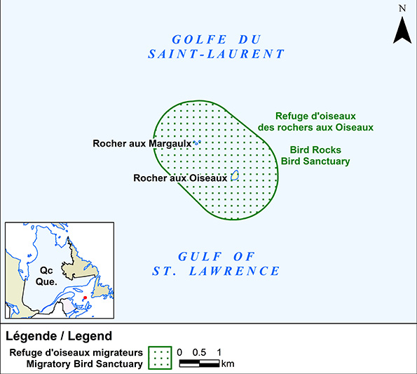 Bird Rocks Migratory Bird Sanctuary - Canada.ca