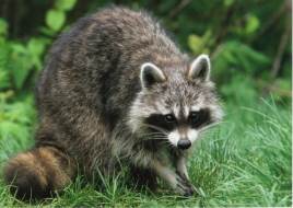 Pope National Wildlife Area - Canada.ca