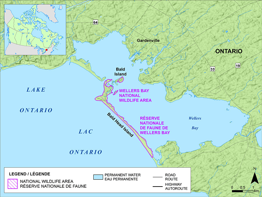 Wellers Bay National Wildlife Area - Canada.ca