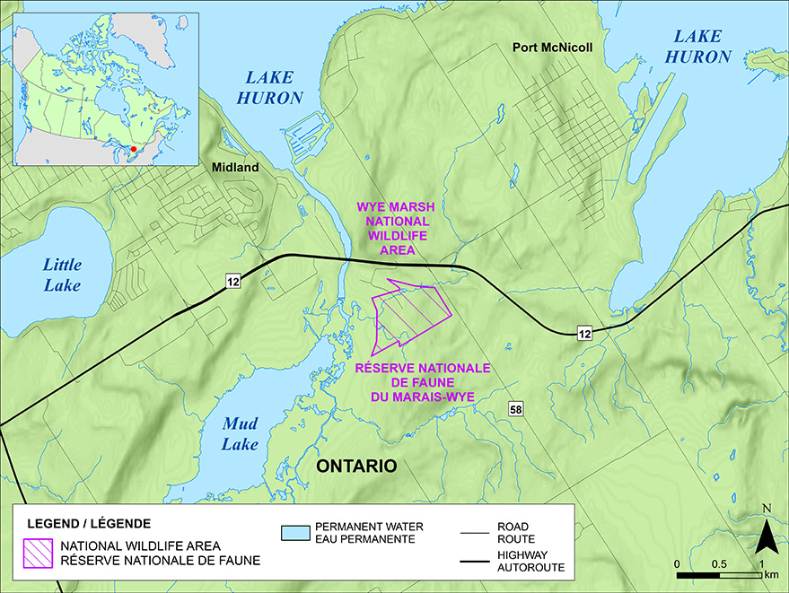 Wye Marsh National Wildlife Area - Canada.ca