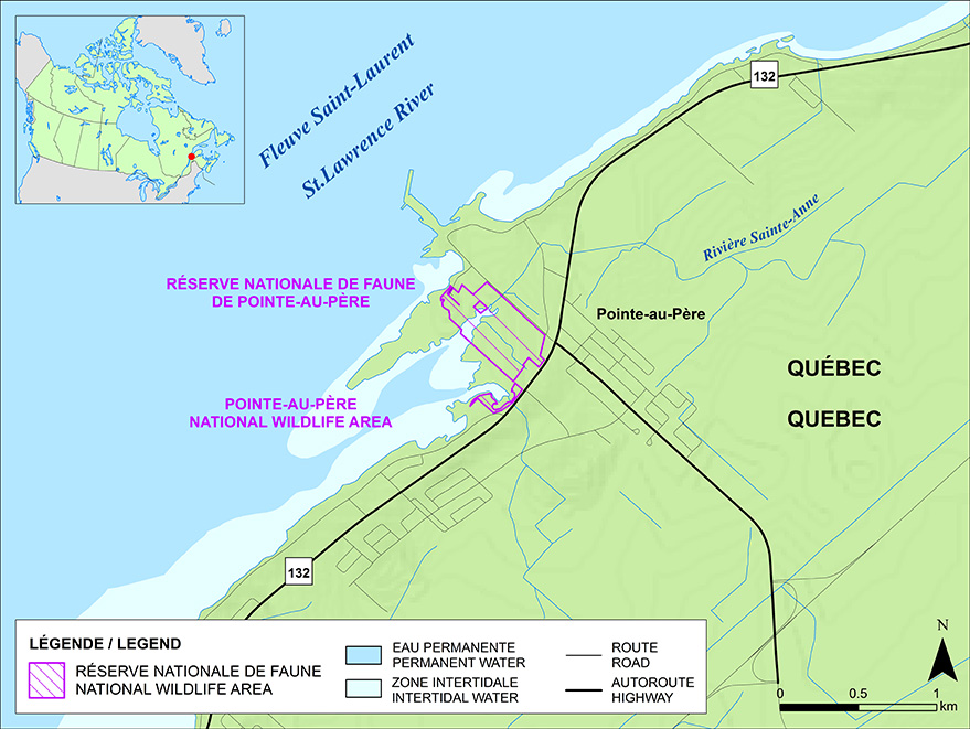 Réserve nationale de faune de Pointe-au-Père - Canada.ca