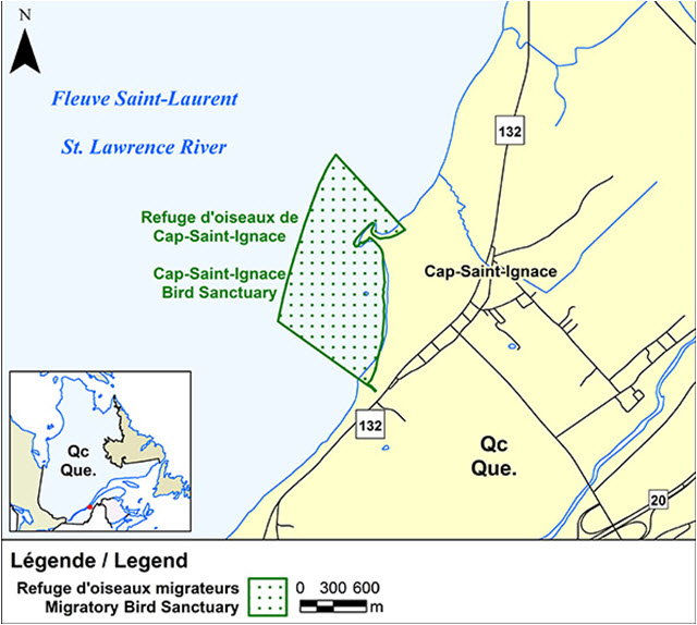 Cap-Saint-Ignace Migratory Bird Sanctuary - Canada.ca