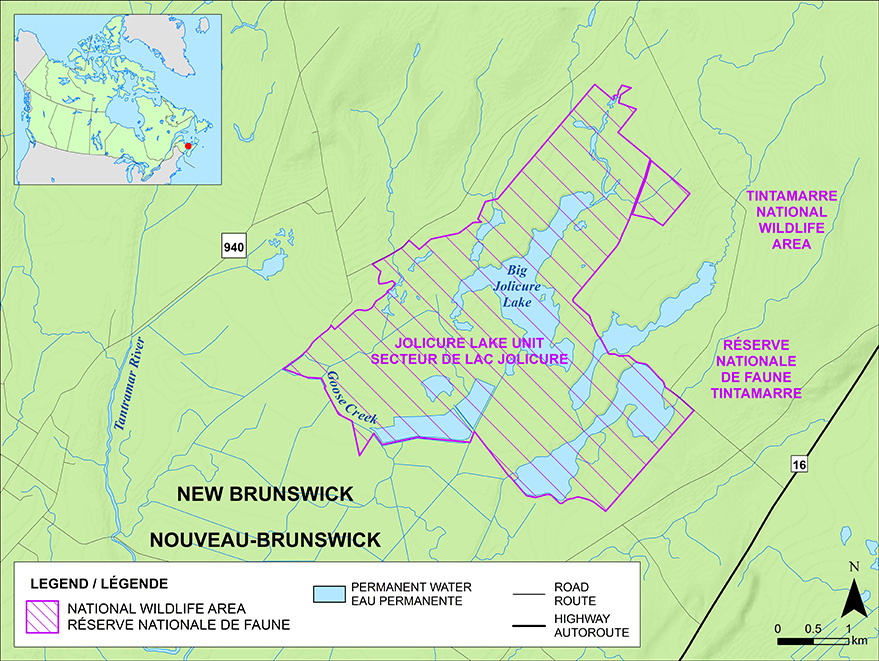 Tintamarre National Wildlife Area - Canada.ca