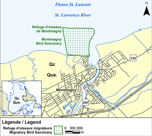 Refuge d'oiseaux migrateurs de Montmagny - Canada.ca