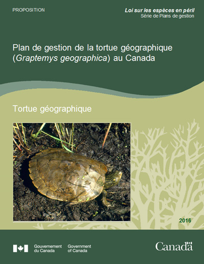 Tortue géographique (Graptemys geographica): plan de gestion proposé ...