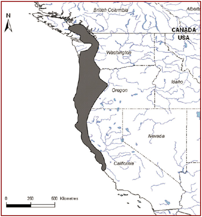 Management Plan for the Threaded Vertigo (Nearctula sp.) in Canada ...