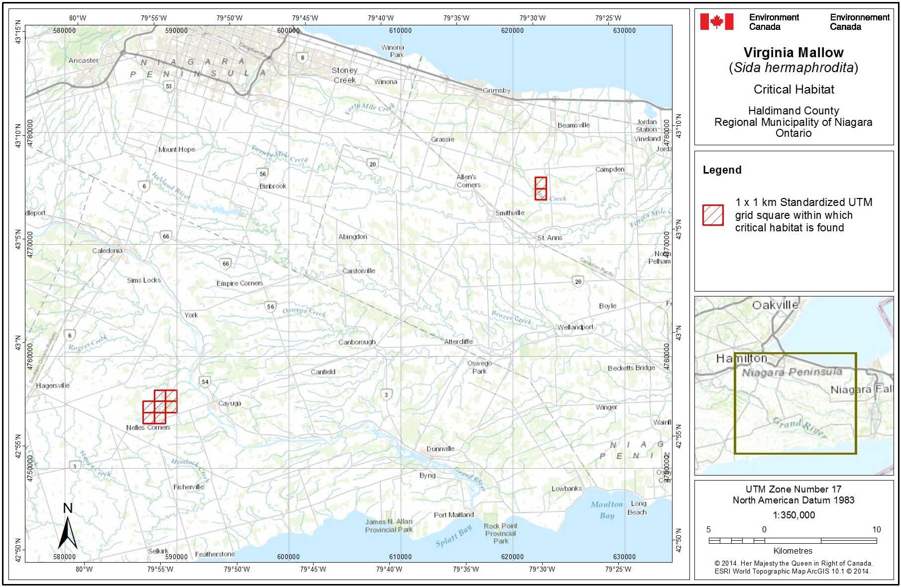 Recovery Strategy for the Virginia Mallow (Sida hermaphrodita) in ...
