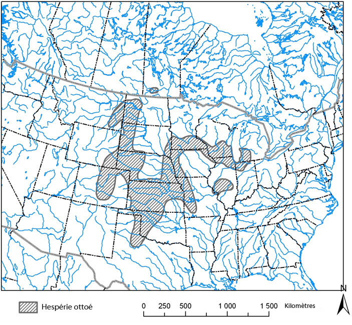 Sommaire du statut de l’espèce du COSEPAC sur l’hespérie Ottoé ...