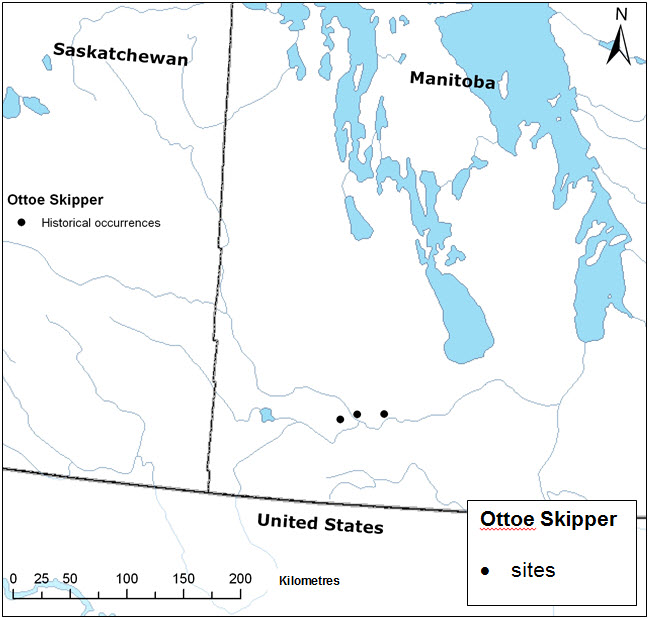 COSEWIC Status Appraisal Summary on the Ottoe Skipper Hesperia ottoe in Canada - 2015 - Canada.ca