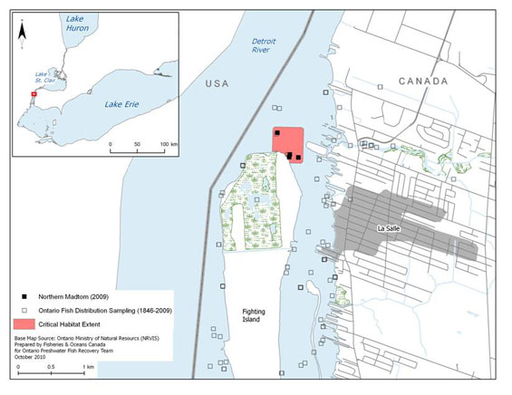 Recovery Strategy for the Northern Madtom (Noturus stigmosus) in Canada ...