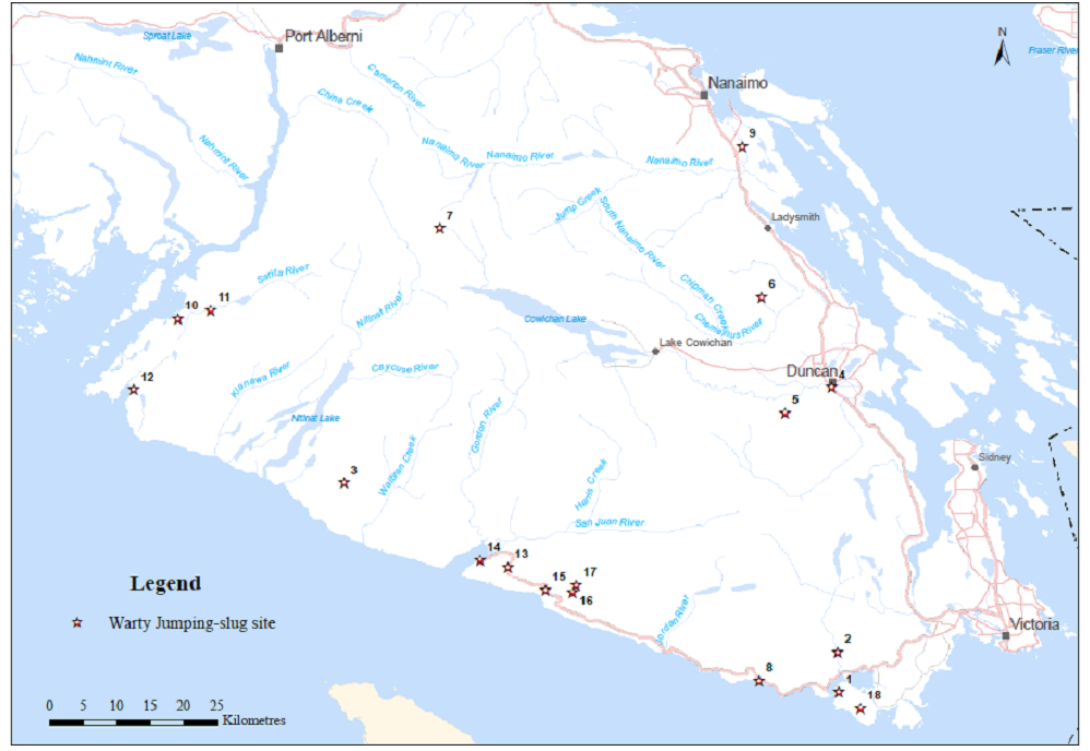 Management Plan for the Warty Jumping-slug (Hemphillia glandulosa) in ...